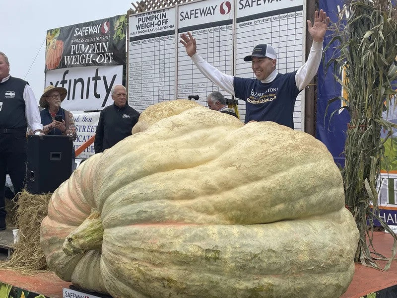 Record-Breaking Minnesota Pumpkin Crowned at World Championship Weigh ...
